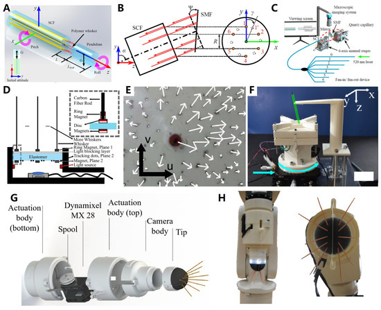 JMSE | Free Full-Text | Potential Applications of Whisker Sensors in Marine Science and ...