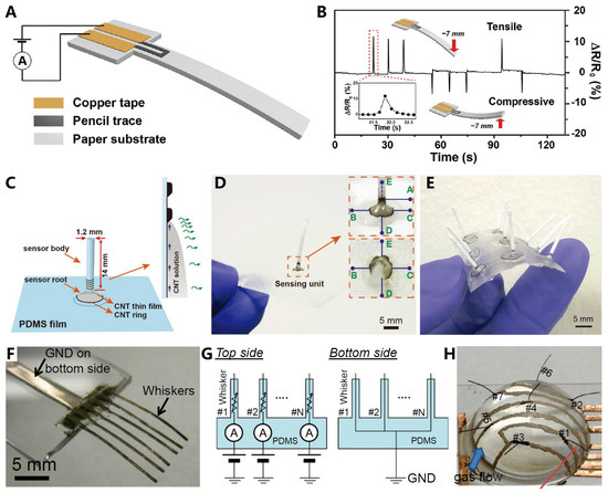 JMSE | Free Full-Text | Potential Applications of Whisker Sensors in Marine Science and ...