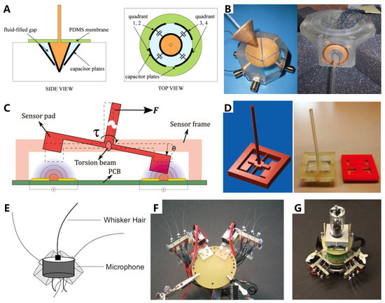 JMSE | Free Full-Text | Potential Applications of Whisker Sensors in Marine Science and ...