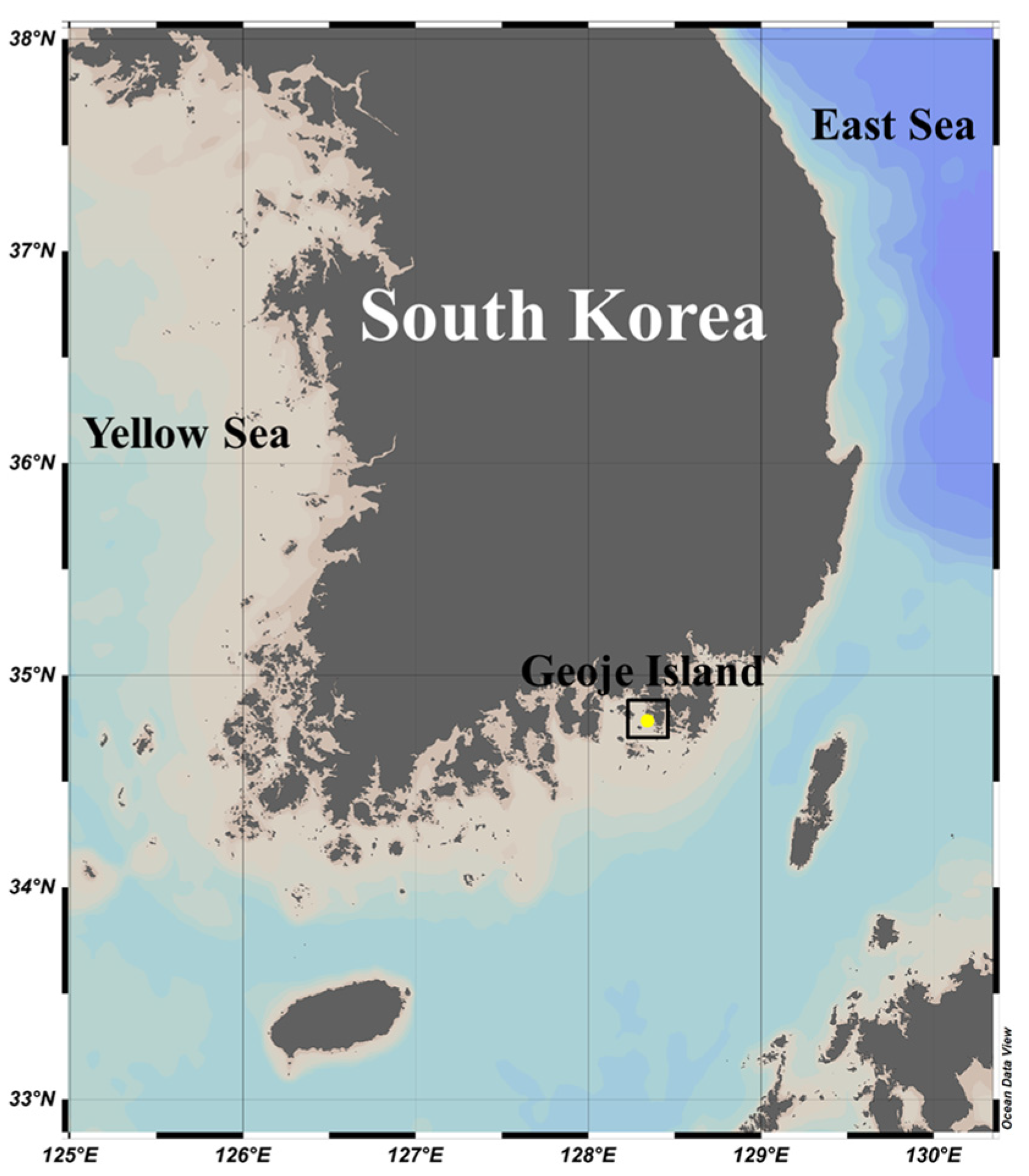 On the Species Identification of Korean Geoduck Clam (Panopea sp. 1 ...
