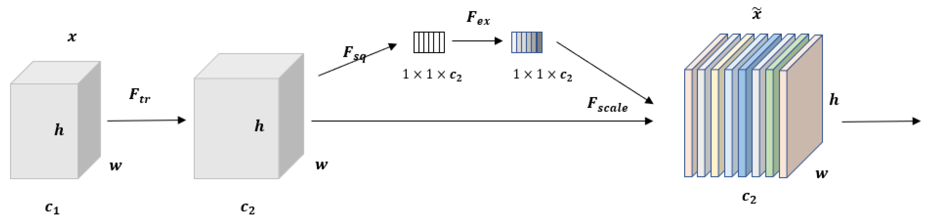 A Deep Learning-Based Lightweight Model for the Detection of Marine Fishes