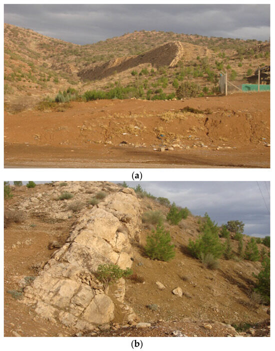 Paleoenvironmental Evaluation Using an Integrated Microfacies Evidence ...