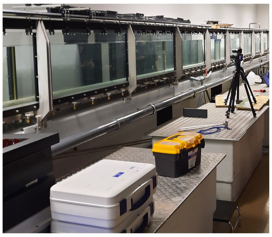 Empirical Shape-Based Estimation of Settling Microplastic Particles ...