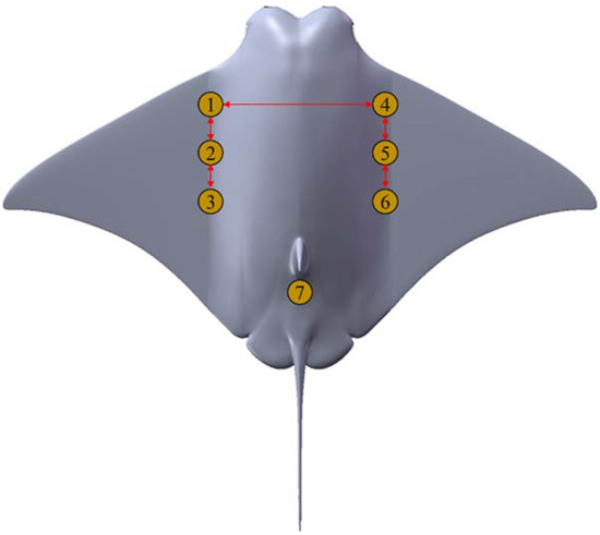 Realization and Online Optimization for Gliding and Flapping Propulsion ...