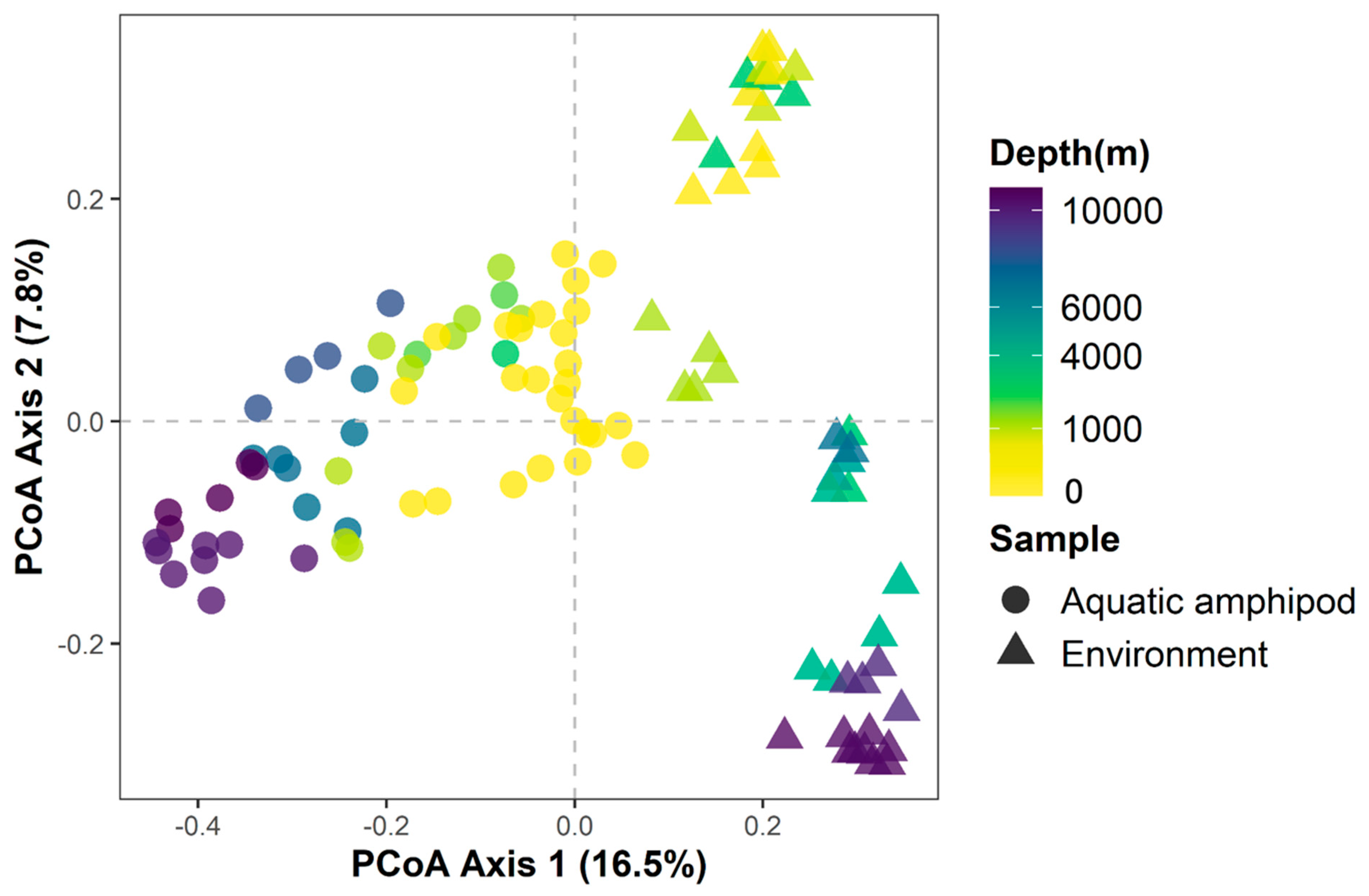 JMSE | Free Full-Text | Comparably Characterizing the Gut Microbial Communities of Amphipods ...