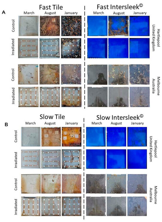 JMSE | Free Full-Text | Long-Term Ultraviolet Treatment for ...
