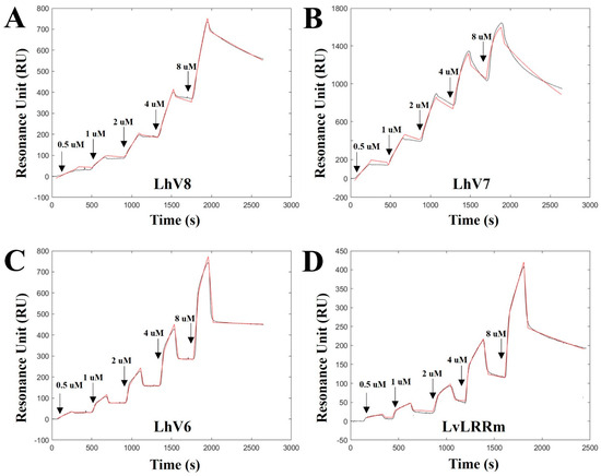 A Hybrid Design for the Functional Assay of LvLRRm (Protein Containing ...