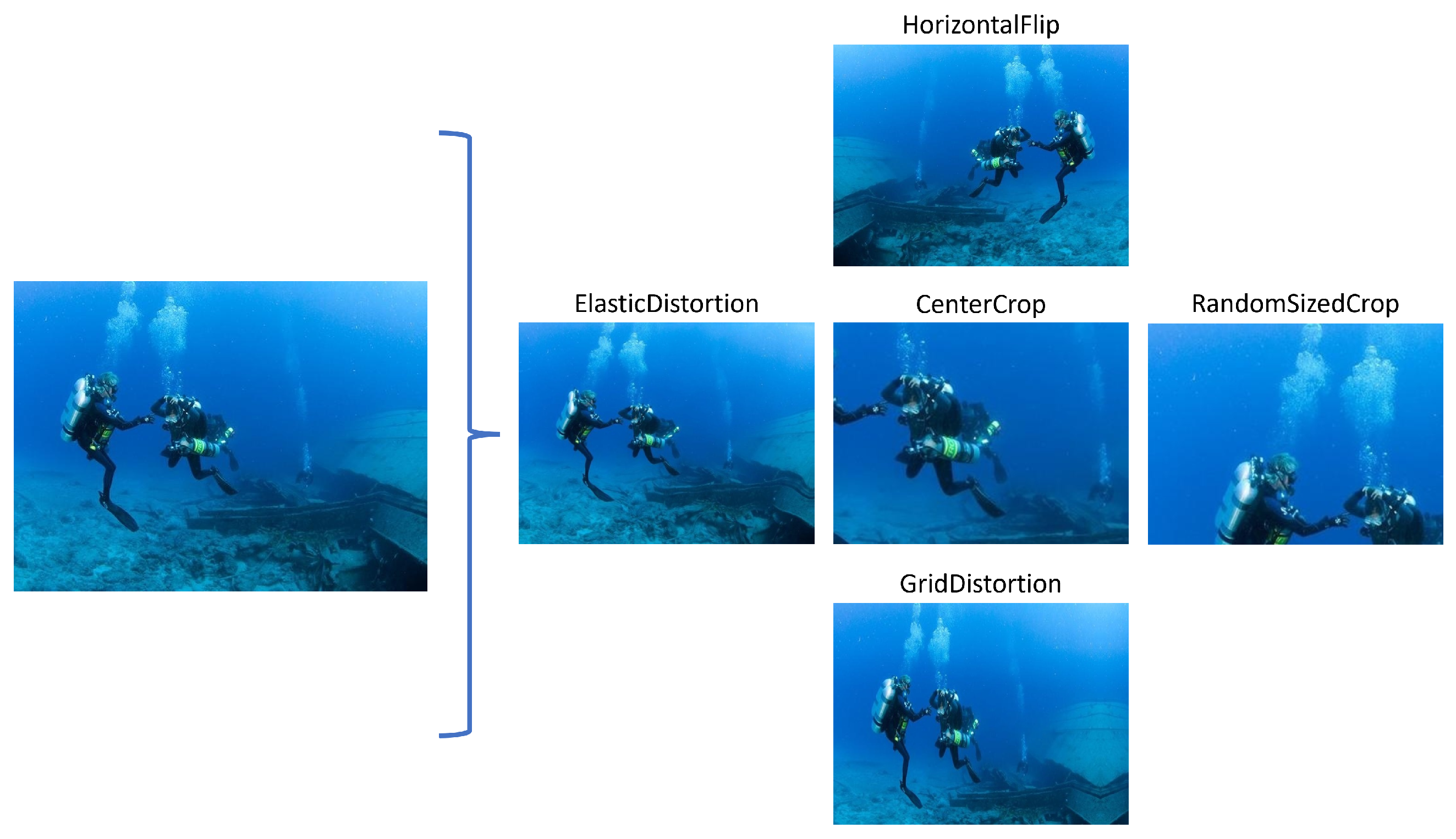 JMSE | Free Full-Text | Improving Semantic Segmentation Performance in Underwater Images