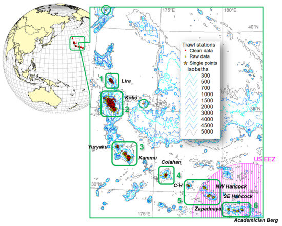 “Firefly” of the Submarine Mountains: New Data on Physiculus cynodon ...