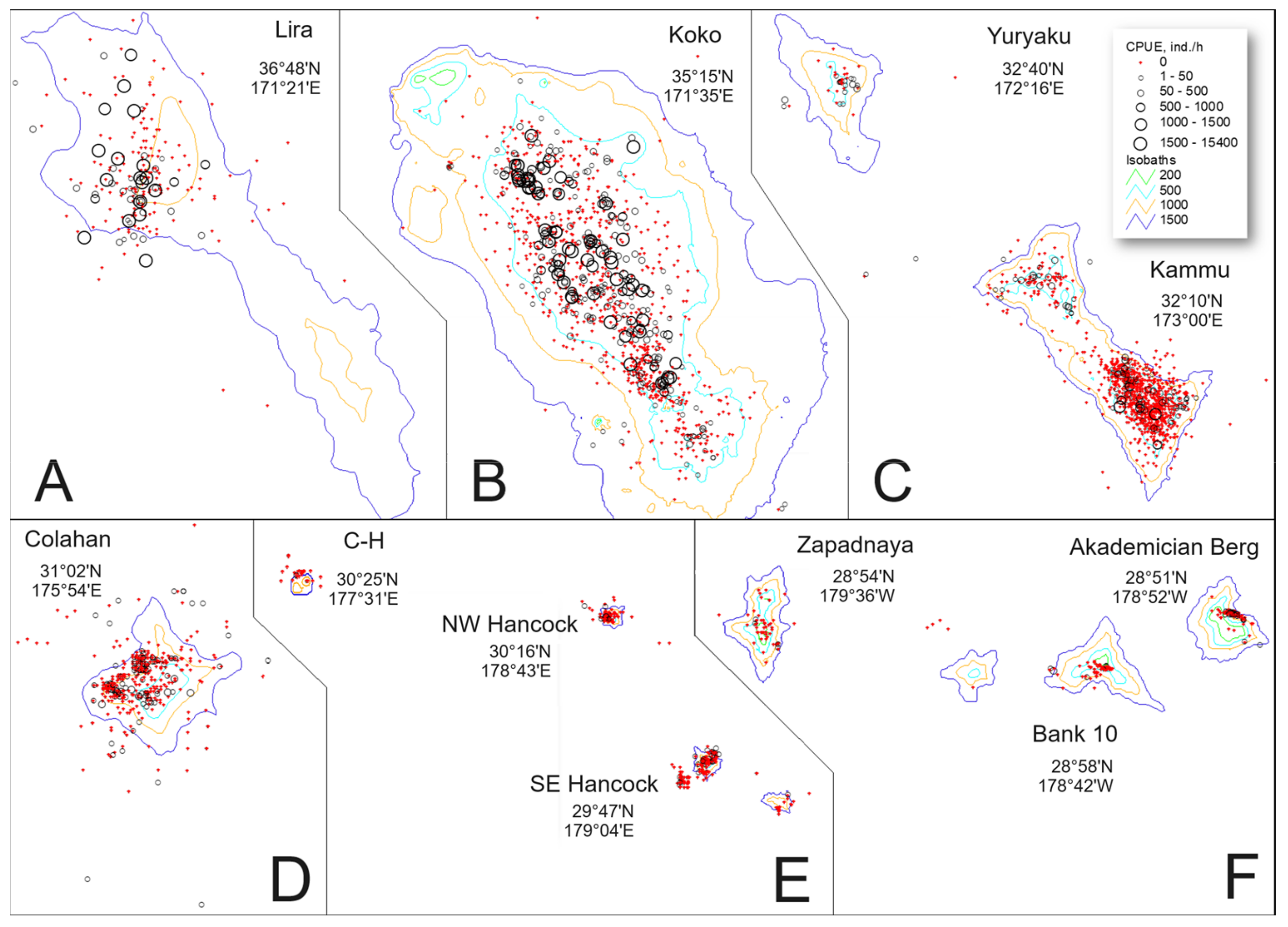 “Firefly” of the Submarine Mountains: New Data on Physiculus cynodon ...