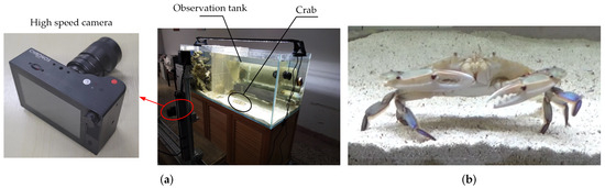 Leg Mechanism Design and Motion Performance Analysis for an Amphibious ...