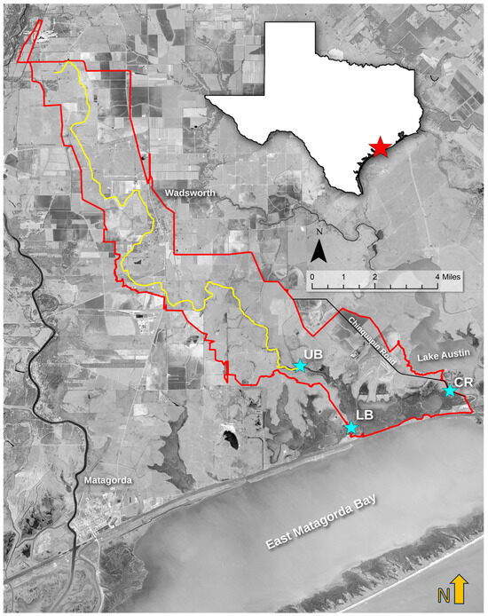Estimating Freshwater Inflows for an Ungauged Watershed at the Big ...