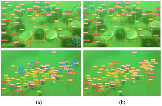 JMSE | Free Full-Text | Underwater Object Detection in Marine Ranching Based on Improved YOLOv8