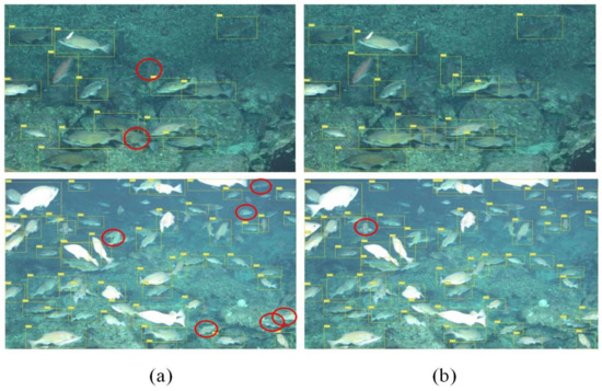JMSE | Free Full-Text | Underwater Object Detection in Marine Ranching Based on Improved YOLOv8