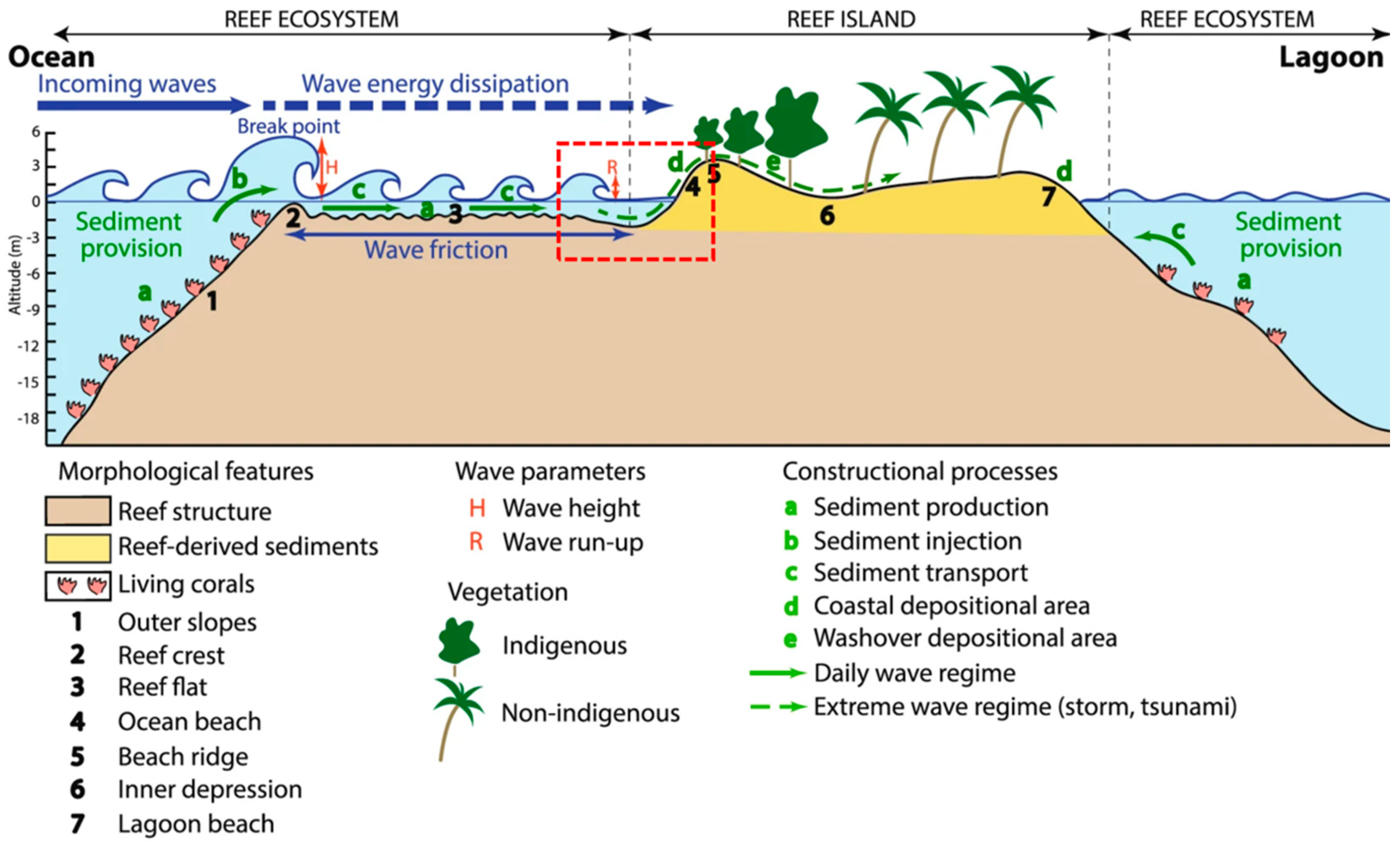 Experimental Analysis of the Changes in Coral Sand Beach Profiles under Regular Wave Conditions