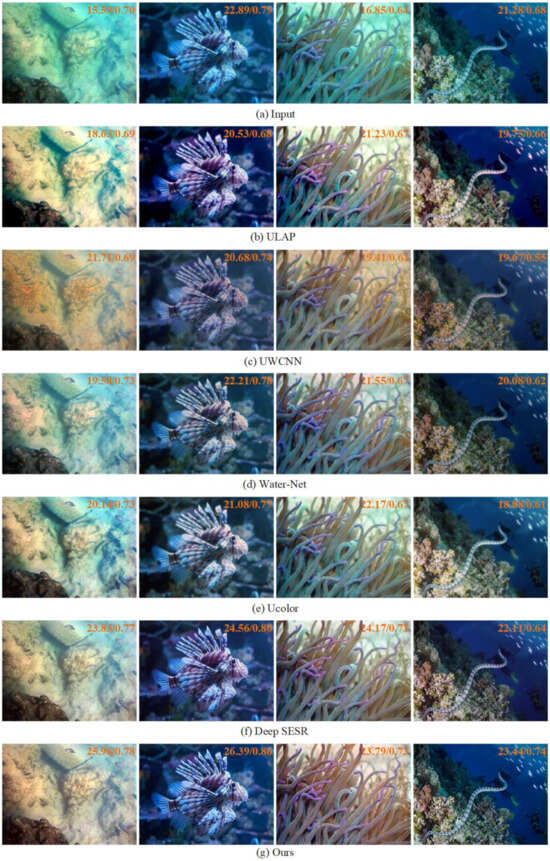 Agent-Guided Non-Local Network for Underwater Image Enhancement and Super-Resolution Using Multi ...