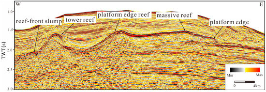 Types and Evolution of the Miocene Reefs Based on Seismic Data in the ...