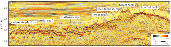 Types and Evolution of the Miocene Reefs Based on Seismic Data in the ...
