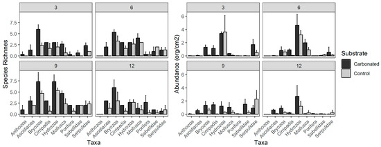 Sessile Biofouling on Electrolytic Carbonated Structures: Stages of ...