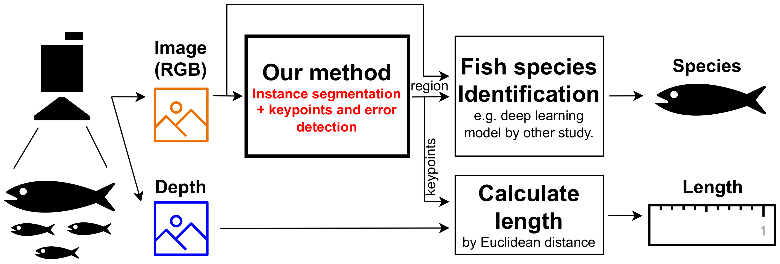 Robust Fish Recognition Using Foundation Models toward Automatic Fish ...