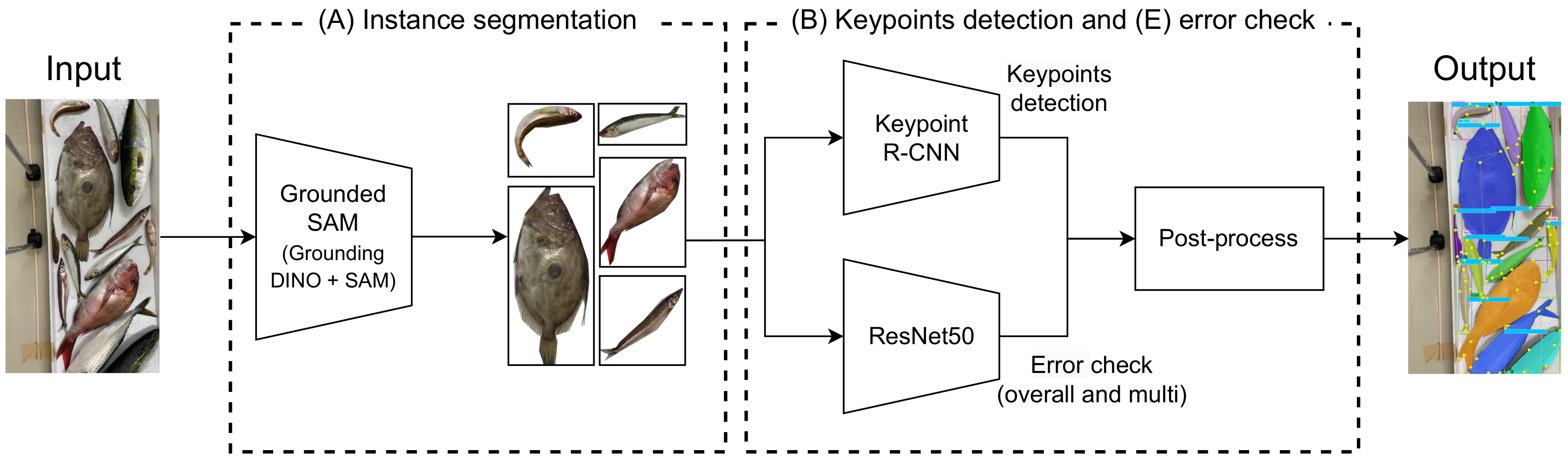 Robust Fish Recognition Using Foundation Models toward Automatic Fish ...