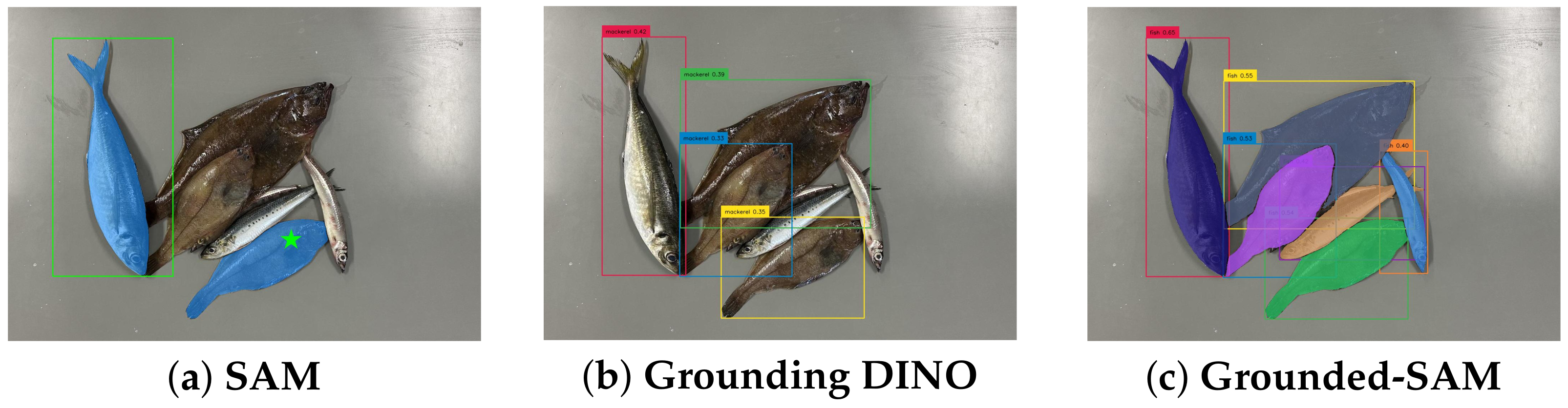 Robust Fish Recognition Using Foundation Models toward Automatic Fish ...