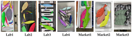 Robust Fish Recognition Using Foundation Models toward Automatic Fish Resource Management