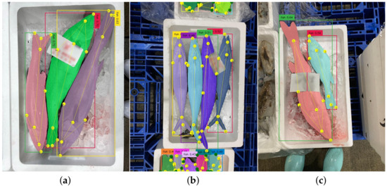 Robust Fish Recognition Using Foundation Models toward Automatic Fish Resource Management