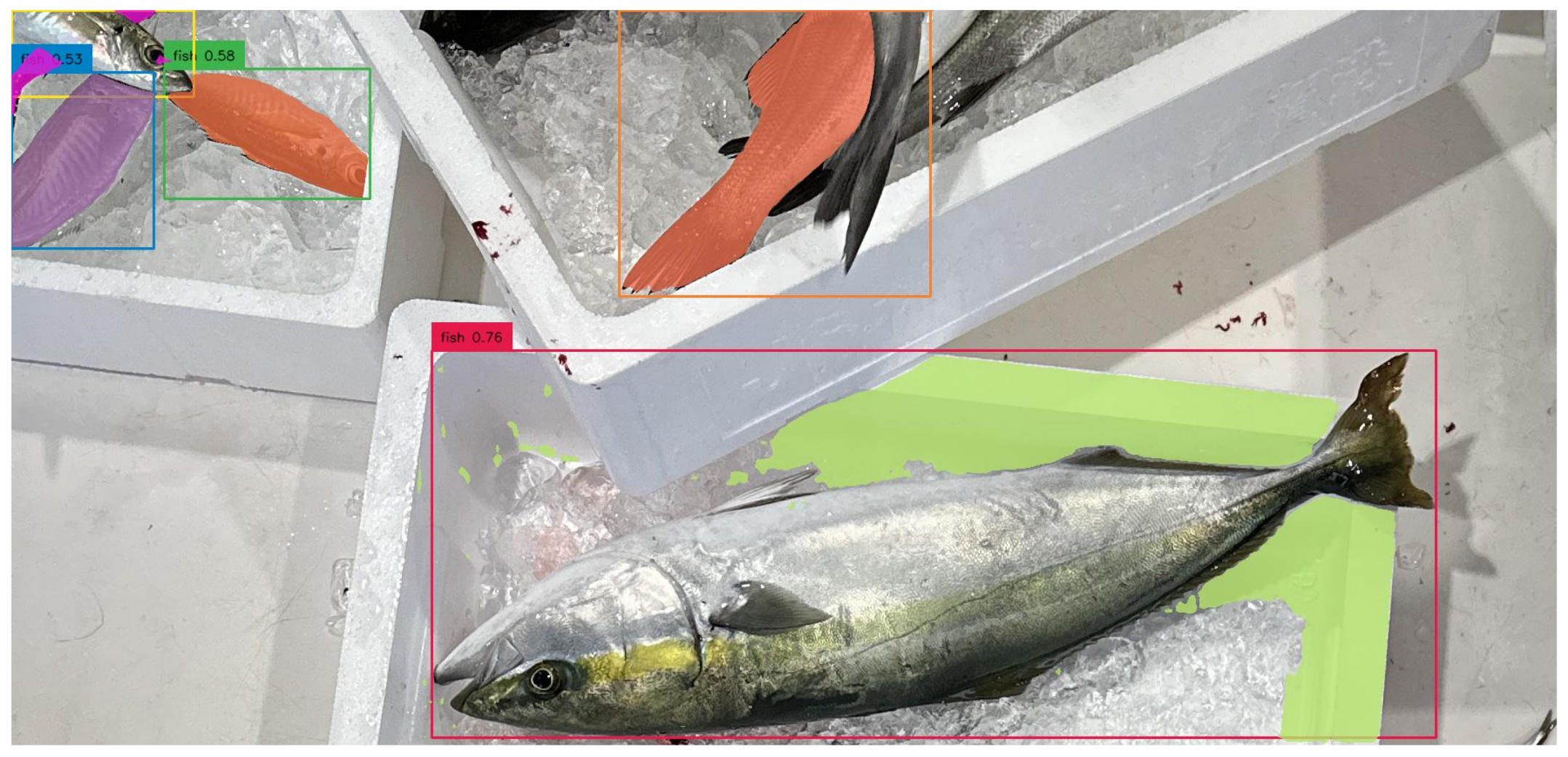 Robust Fish Recognition Using Foundation Models toward Automatic Fish ...