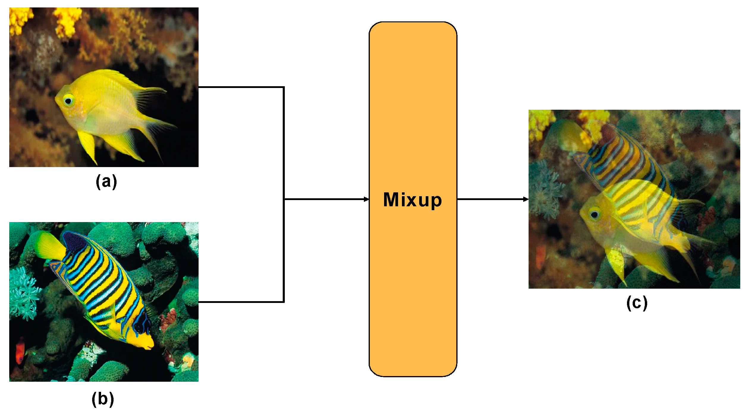 Lightweight Underwater Object Detection Algorithm For Embedded Deployment Using Higher Order