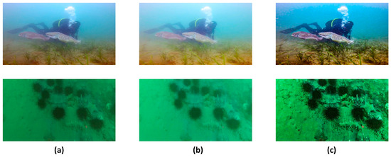 Lightweight Underwater Object Detection Algorithm For Embedded Deployment Using Higher Order