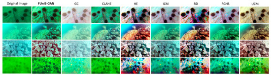 Lightweight Underwater Object Detection Algorithm For Embedded Deployment Using Higher Order