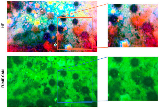 Lightweight Underwater Object Detection Algorithm For Embedded Deployment Using Higher Order