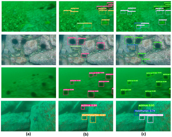 Lightweight Underwater Object Detection Algorithm For Embedded Deployment Using Higher Order