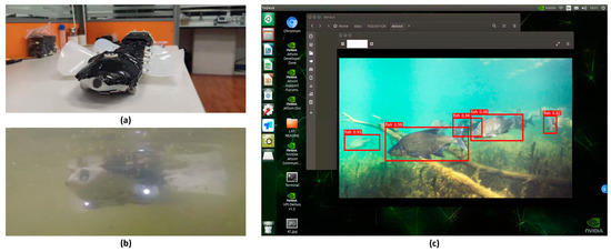 Lightweight Underwater Object Detection Algorithm For Embedded Deployment Using Higher Order