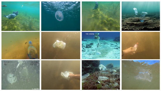 YOLOv7t-CEBC Network for Underwater Litter Detection