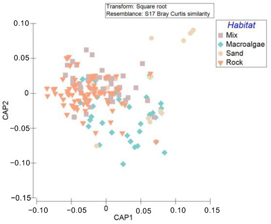 Untangling Coastal Diversity: How Habitat Complexity Shapes Demersal ...
