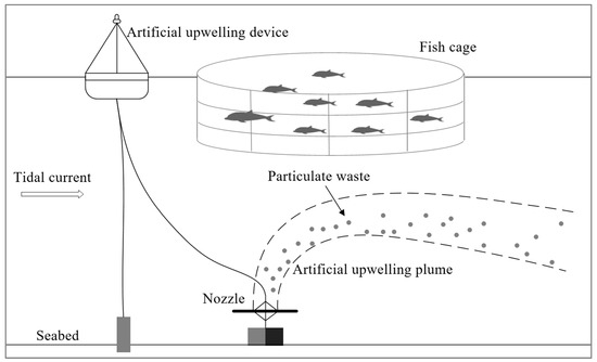 Trajectory of Particulate Waste Transported by Artificial Upwelling