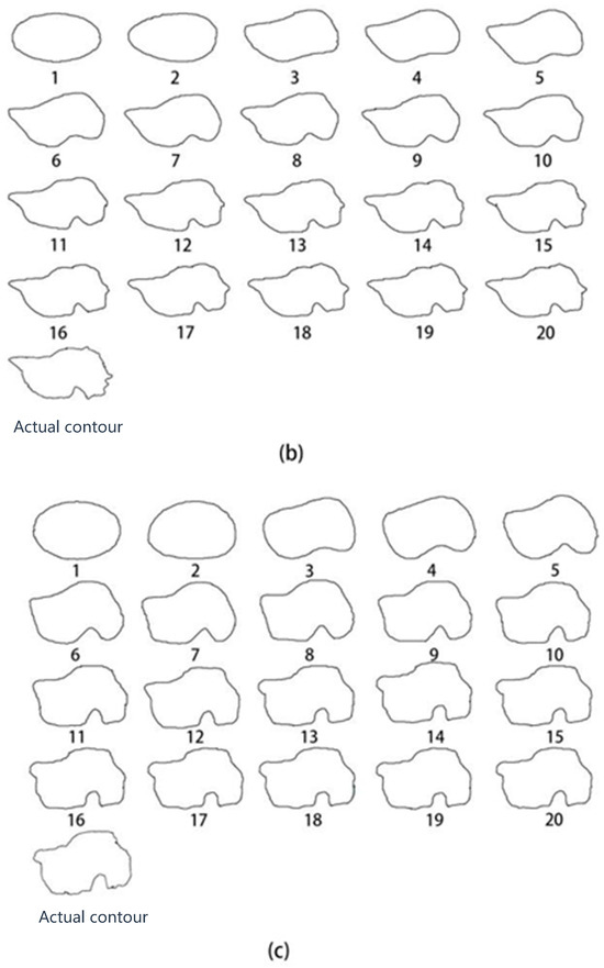 JMSE | Free Full-Text | Morphological Differences and Contour Visualization of Statoliths in ...