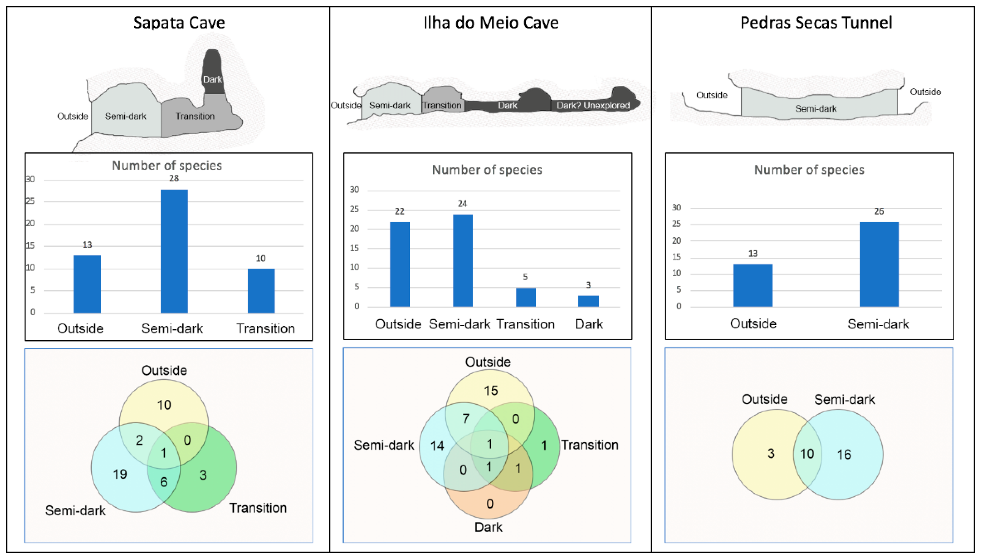 Sponge Communities of Submarine Caves and Tunnels on the Fernando de ...