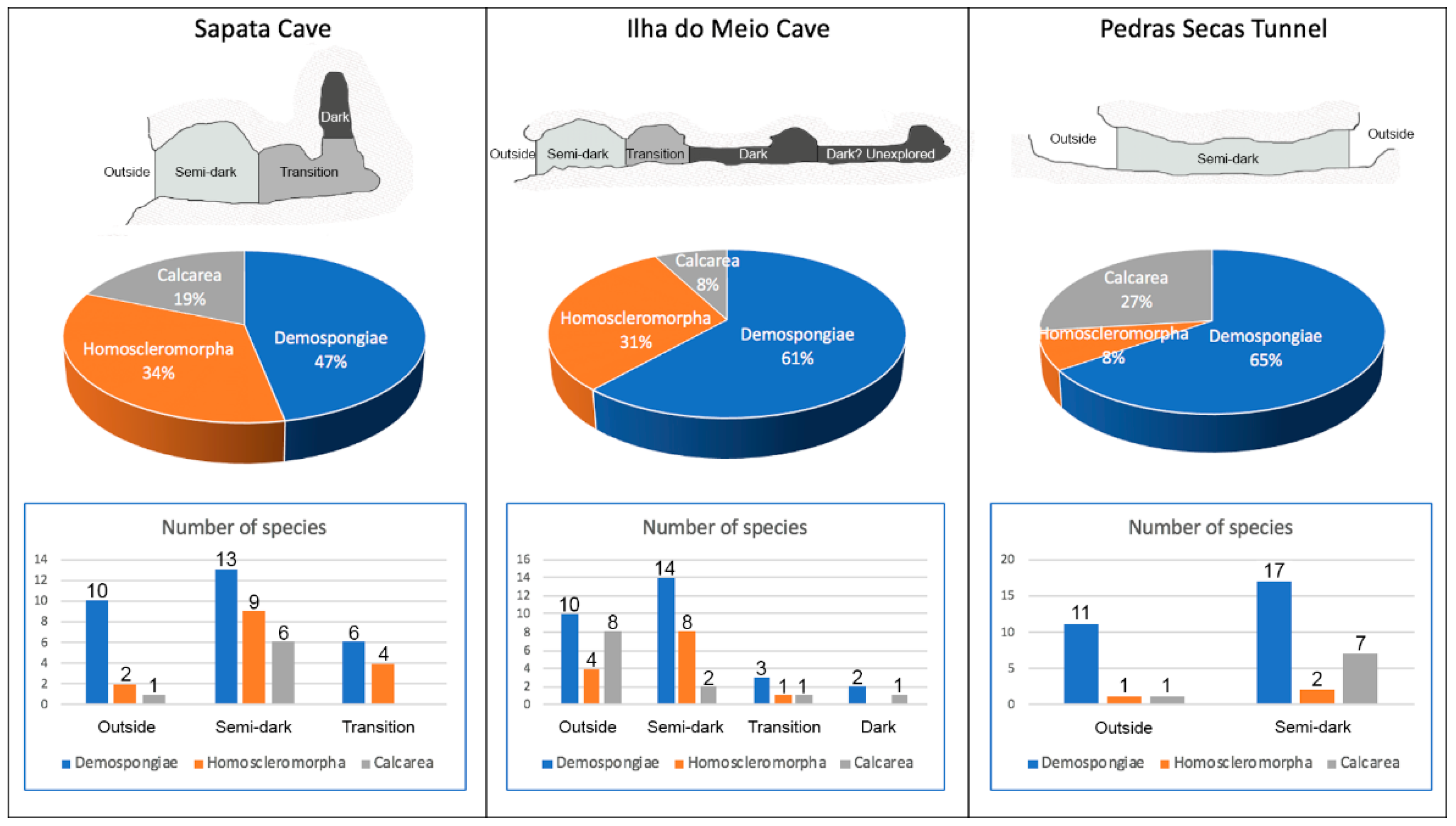 Sponge Communities of Submarine Caves and Tunnels on the Fernando de ...