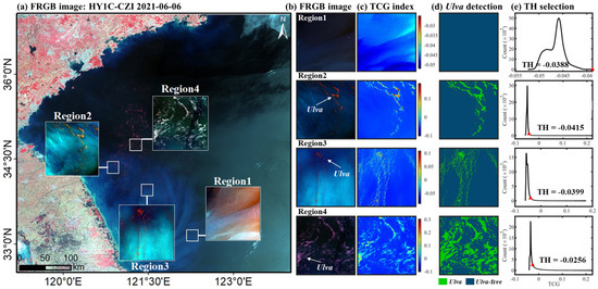 Automatic Detection of Floating Ulva prolifera Bloom from Optical Satellite Imagery