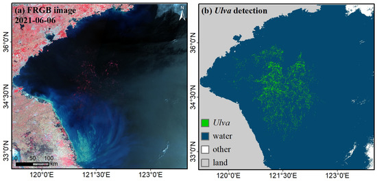 Automatic Detection of Floating Ulva prolifera Bloom from Optical Satellite Imagery