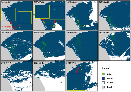 Automatic Detection of Floating Ulva prolifera Bloom from Optical Satellite Imagery