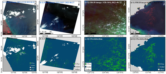 Automatic Detection of Floating Ulva prolifera Bloom from Optical Satellite Imagery