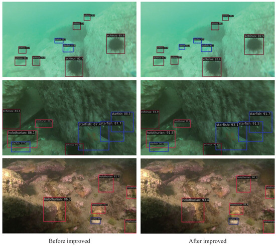A Lightweight Model of Underwater Object Detection Based on YOLOv8n for an Edge Computing Platform