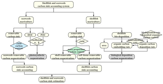Estimation of Mariculture Carbon Sinks in China and Its Influencing Factors