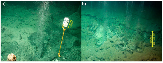 A Review on Submarine Geological Risks and Secondary Disaster Issues ...