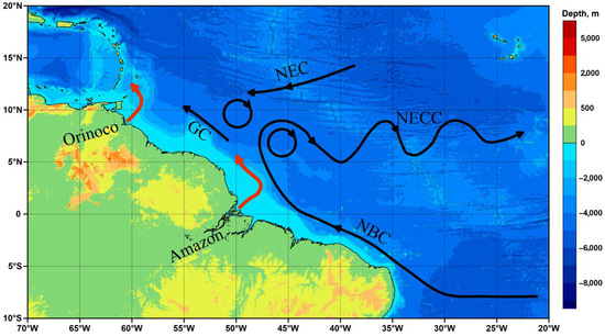 Amazon River Plume in the Western Tropical North Atlantic