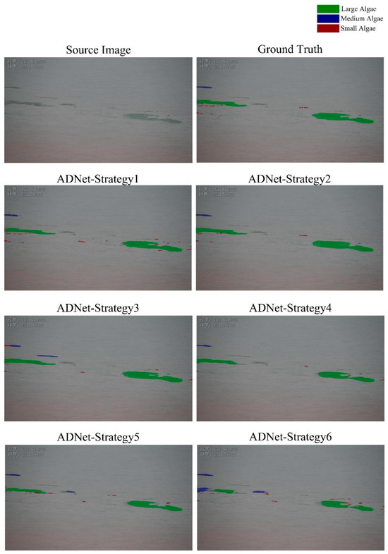 JMSE | Free Full-Text | ADNet: A Real-Time Floating Algae Segmentation Using Distillation Network
